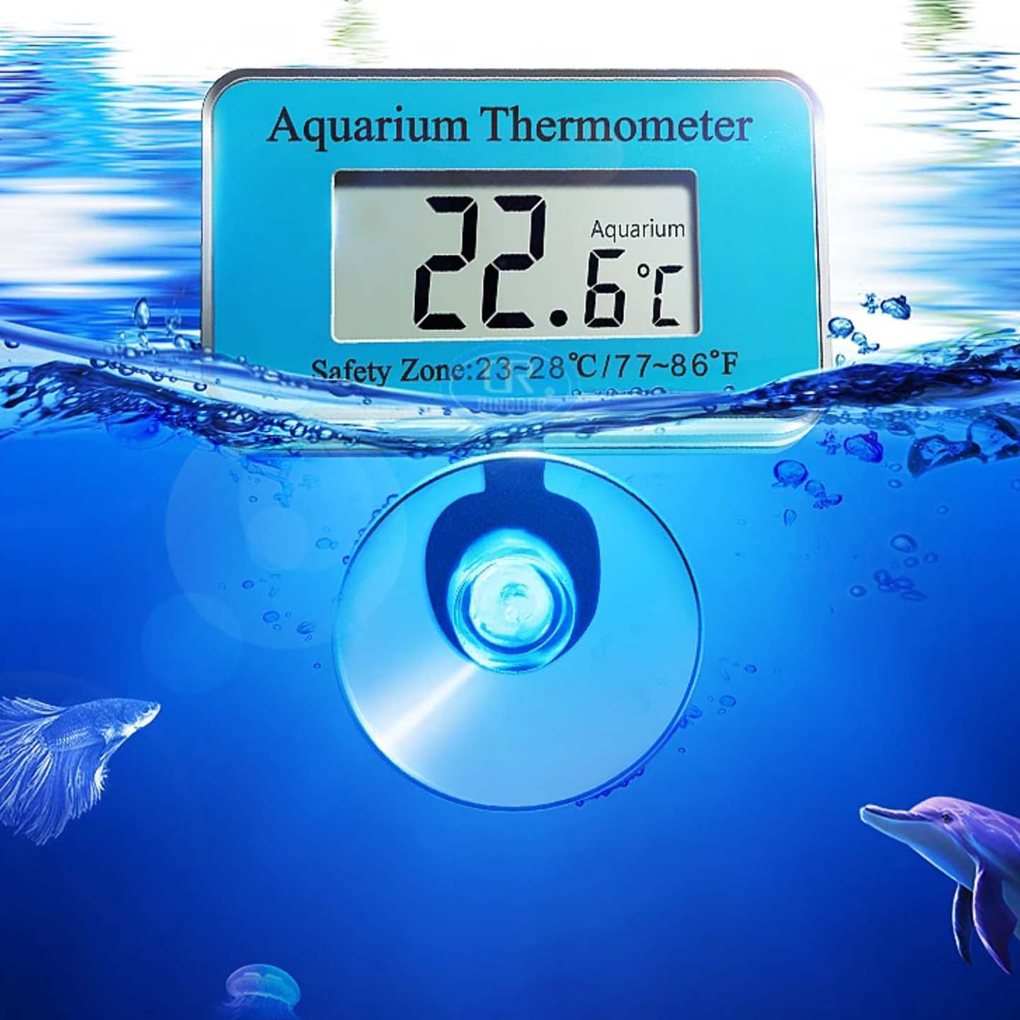 Saas Digital Display Thermometer